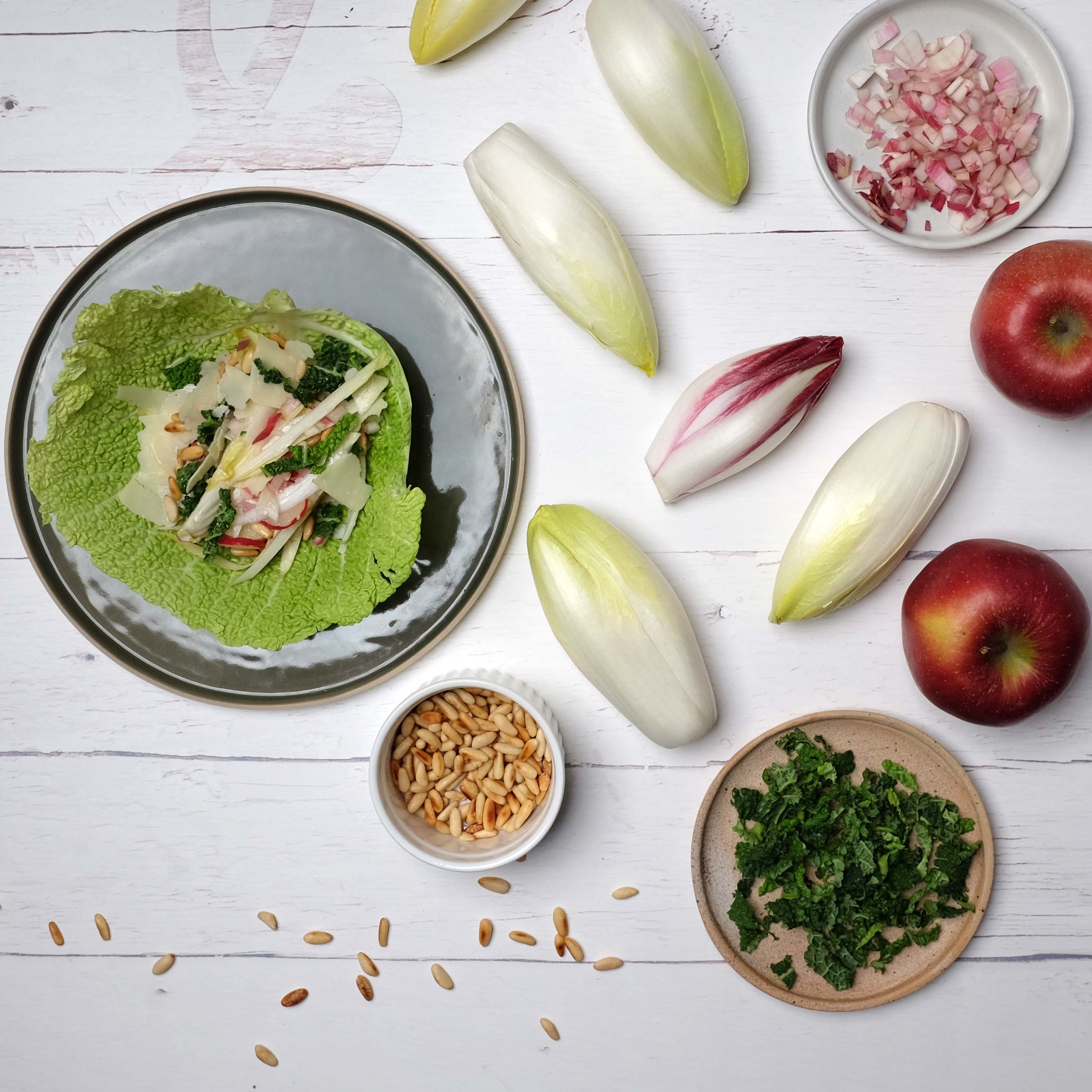 Witloofsalade wraps van savooikool | BelOrta