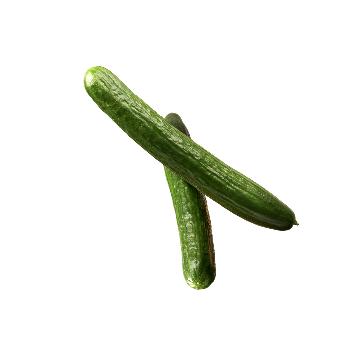 Cucumber Belorta