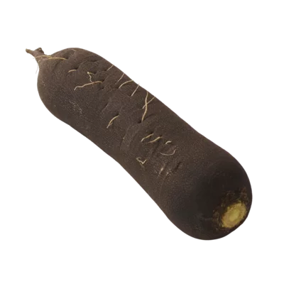 Witte rammenas | BelOrta